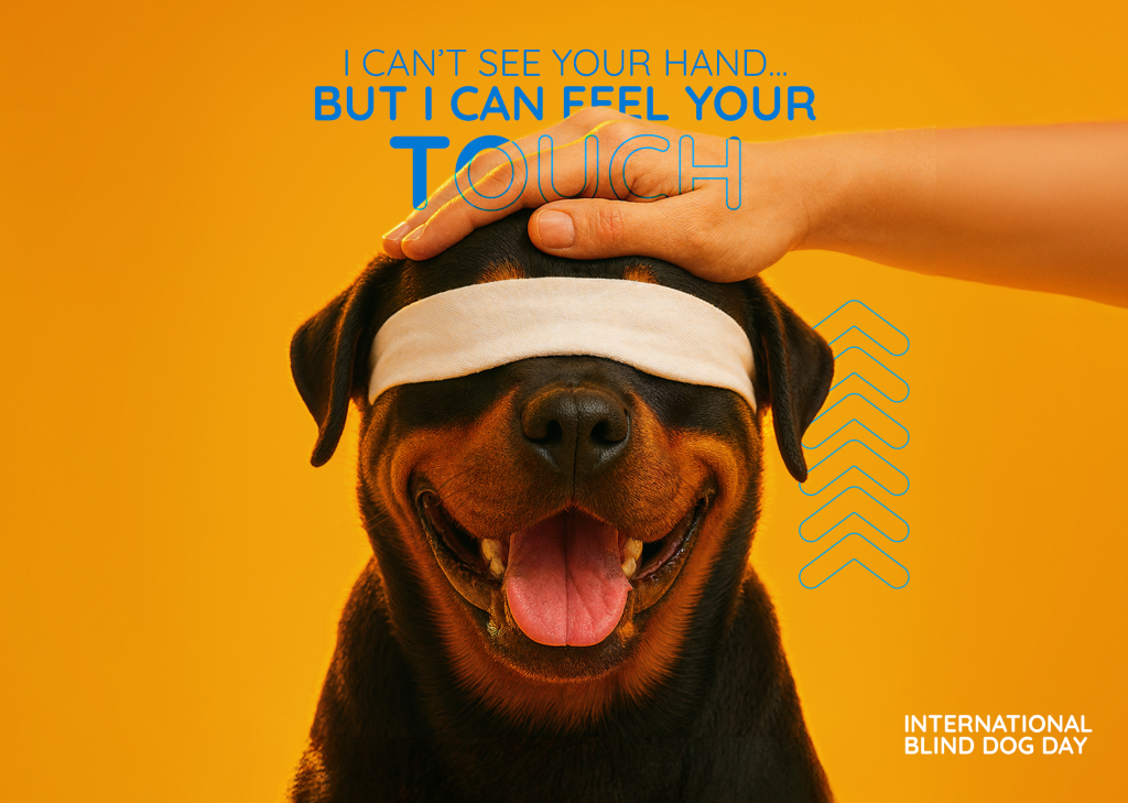Creative Pet Campaigns | Powered By Social Media Agency Services